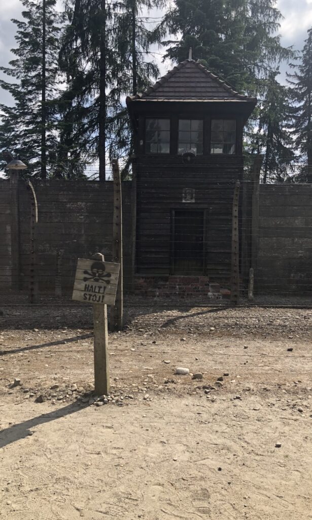 Pourquoi Auschwitz ? - Guerres et Histoire